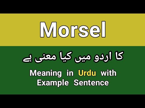 Morsel meaning in Urdu/hindi || Morsel in a sentence || Morsel ka matlab kia hota ha