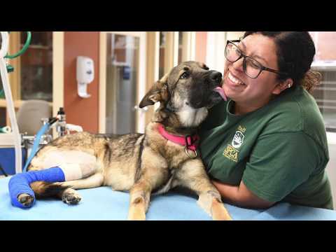 The SPCA for Monterey County