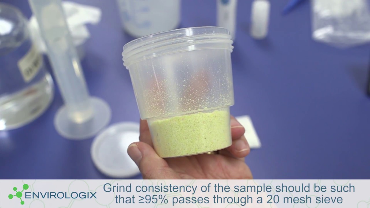 Mycotoxin Testing with Common Extraction