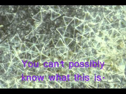 Micro Science