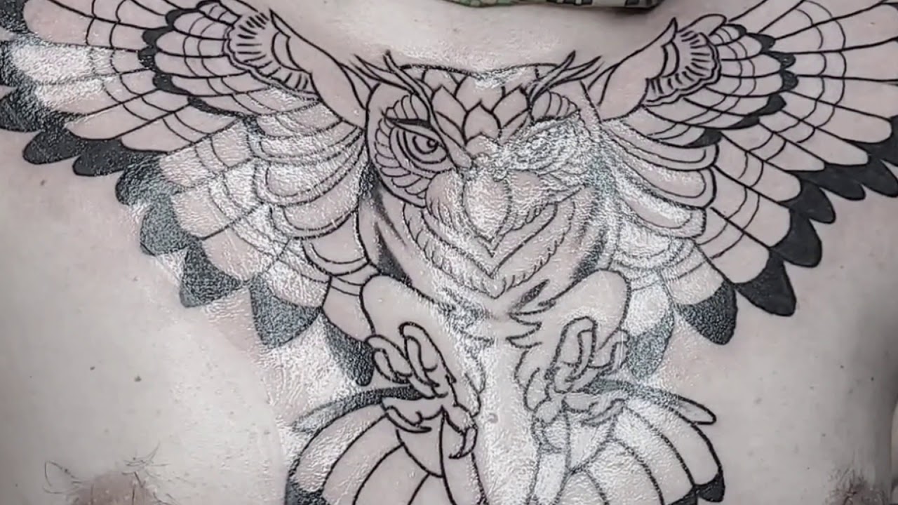 traditional owl 1st session