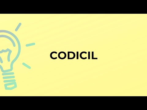 What is the meaning of the word CODICIL?