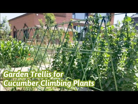 Dxmimer Foldable Cucumber Trellis Set