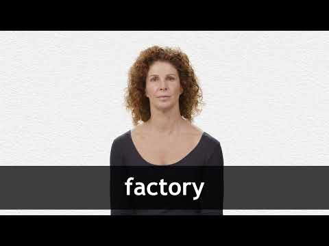 How to pronounce FACTORY in American English