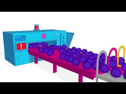 Increasing our understanding of childhood leukaemia | Katrin Ottersbach