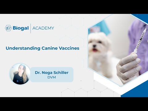 Understanding Dogs' Vaccines