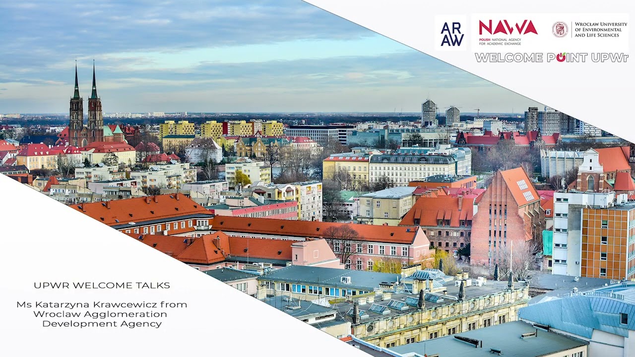 Finding home in Wrocław