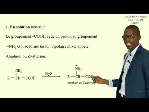 Les acides aminés