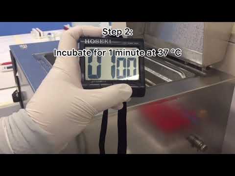 Prothrombin Time (PT) Test