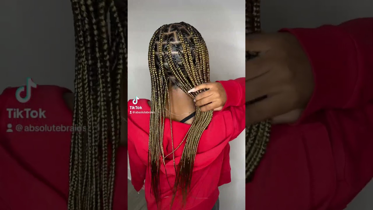 Color 27 knotless braids | @ absolutebraids