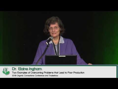 Two Examples of Overcoming Problems that Lead to Poor Production - Dr. Elaine Ingham (2018)