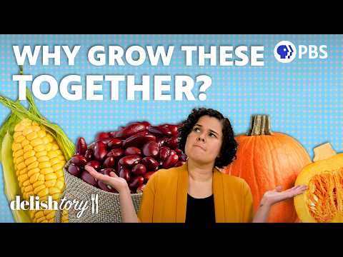What Are The Three Sister Crops? | Delishtory