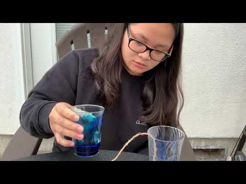 Water Lab – Through the Microscope