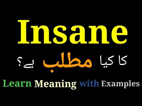 Insane Meaning