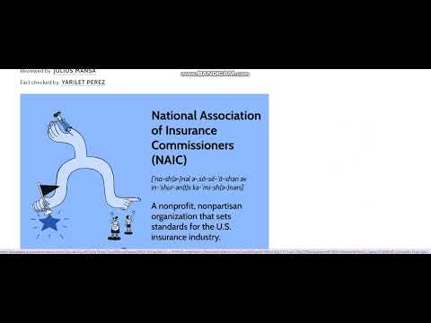 What Does National Association Of Insurance Commission (NAIC) In USA|| #insurance @MAINITECH #097345
