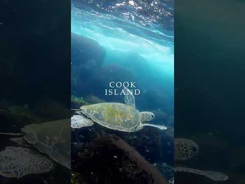 Cook Island - Jet Ski and Snorkeling  #australia #goldcoast #dolphin #jetski