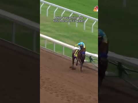 The First Horse In 37 Year’s To Win The Triple Crown… 👑 #BC23 #AMERICANPHAROAH