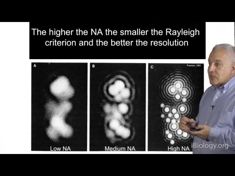 Microscopy: Resolution in Microscopy (Jeff Lichtman)