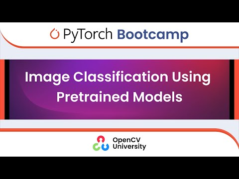 Pytorch Bootcamp for Beginners - 4 | Image Classification Using Pretrained Models