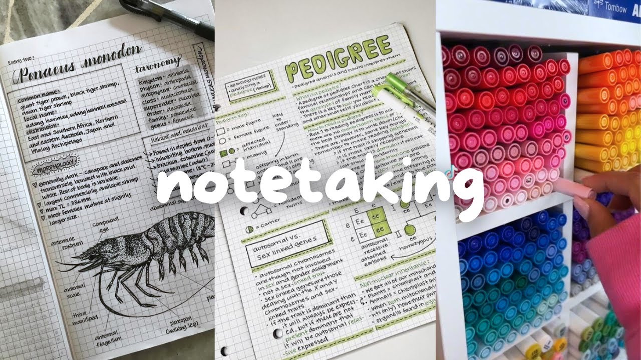daily dose of study motivation 📖🕯️🌸 | aesthetic notetaking tiktok compilation