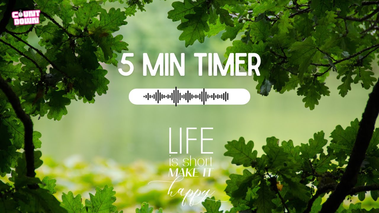 5-Minute Countdown Timer: Boost Your Efficiency and Beat the Clock | Meditation