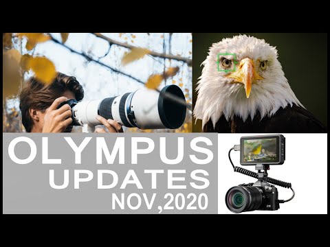 Olympus New 150-400mm f/4.5 Lens Review | New Bird Autofocus system | Add 12 bit RAW video support