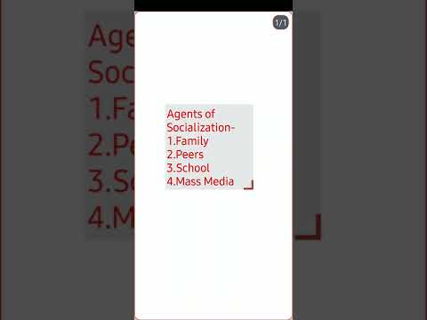 Agents of Socialization