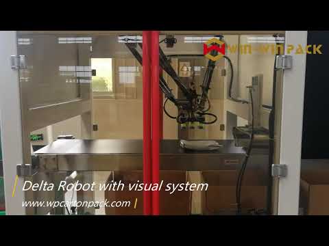 WIN-WIN PACK Three-axis delta robot case packer/Robot visual system/Automatic pouch packing machine
