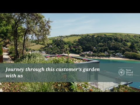 Journey through this customer garden in Salcombe to see our multi-stem trees