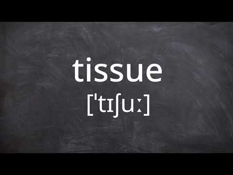 TISSUE Pronunciation in American English