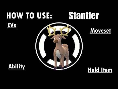 Competitive Guides- How To Use Stantler