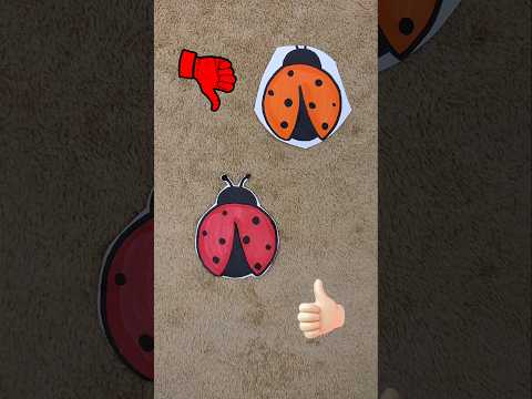 lady Bug 🪲 Paper Cutting #artandcraft #shorts #cuttingskills #creative