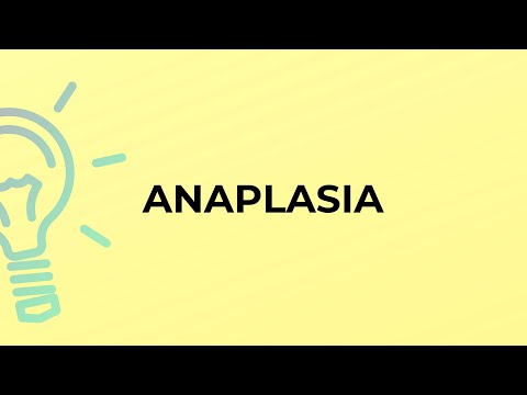 What is the meaning of the word ANAPLASIA?