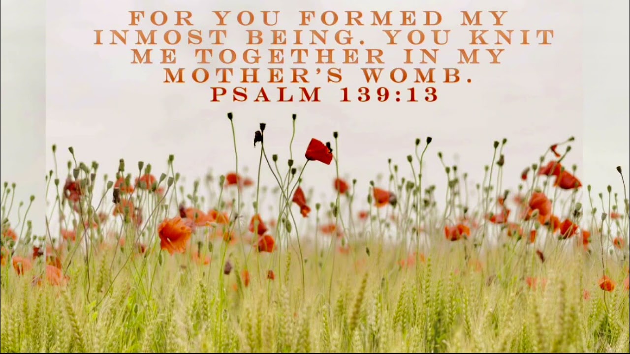 TV WALLPAPER WITH BIBLE VERSE-PSALM 139:13