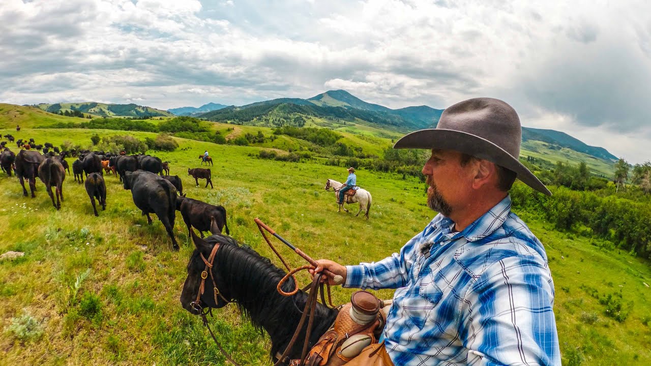 A Day in the Life of Modern COWBOYS in MONTANA - What it's Like!