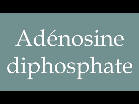 How to Pronounce ''Adénosine diphosphate'' (Adenosine diphosphate) Correctly in French