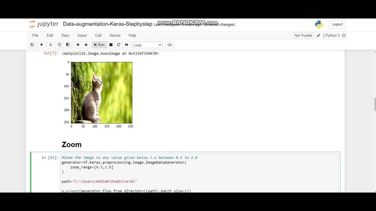 Data-Augmentation | Keras | Arguments explained step by step | Python