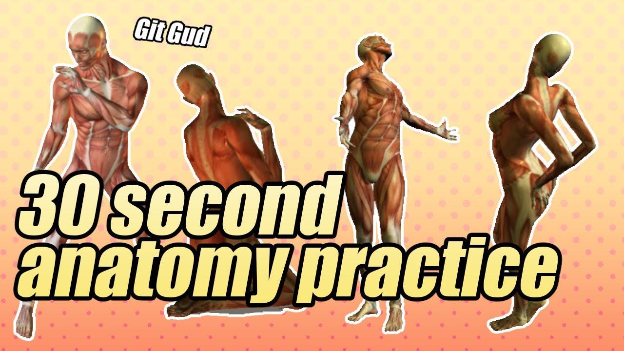Improve your Anatomy! Posemaniacs 30-second gesture drawings