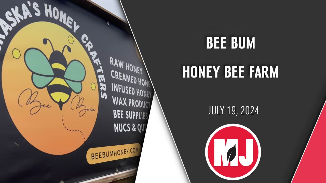 Bee Bum | Honey Bee Farm | July 19, 2024