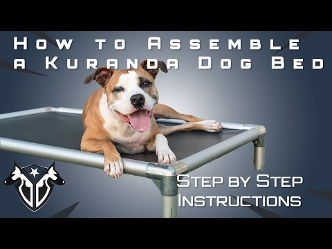How To Put A Kuranda, The Best Dog Bed, Together - Complete Canine Training