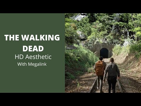 HD The Walking Dead Aesthetic (Landscape, walkers, hiking etc) W Megalink