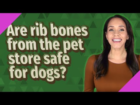 Are rib bones from the pet store safe for dogs?
