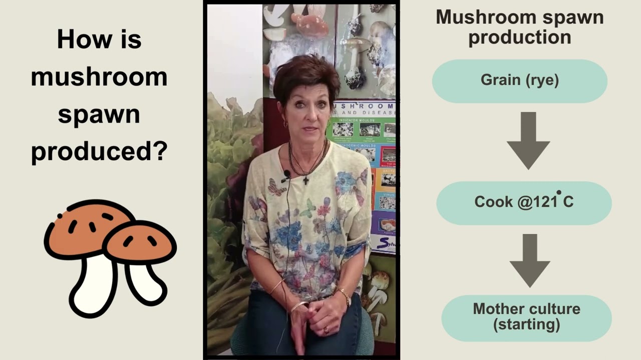 Part 2 Mushroom spawn production