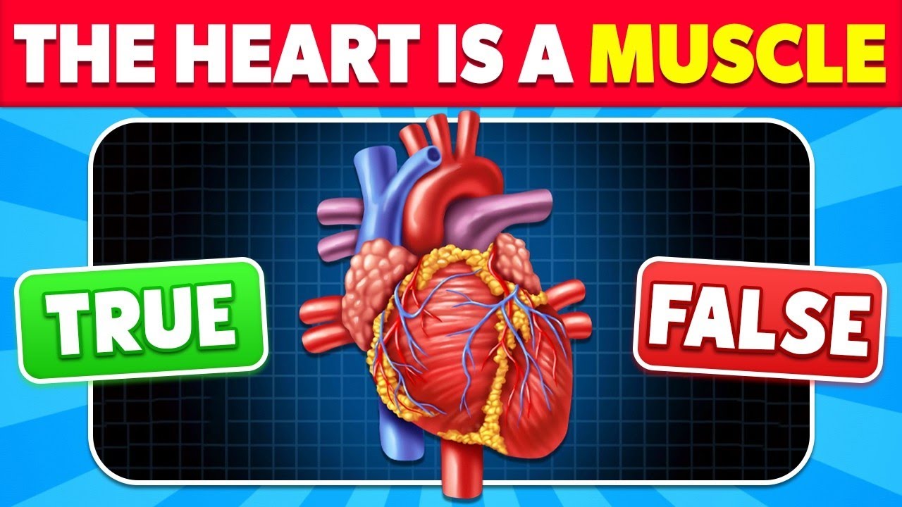 Can You Pass This General Knowledge Quiz?