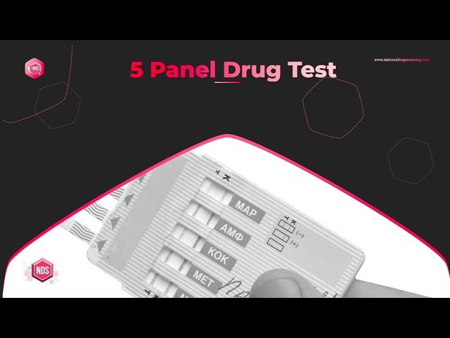 Understanding the Five Panel Drug Test: A Comprehensive Guide | Galaxy.ai