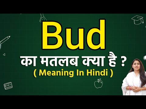 Bud meaning in hindi | Bud matlab kya hota hai | Word meaning