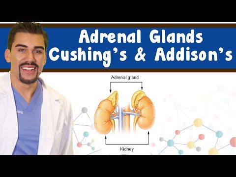 Cushing’s Disease vs Addison’s Disease: What’s the Difference? | Nursessity