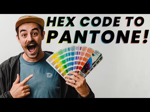 How To Turn a Hex Code Into a Pantone