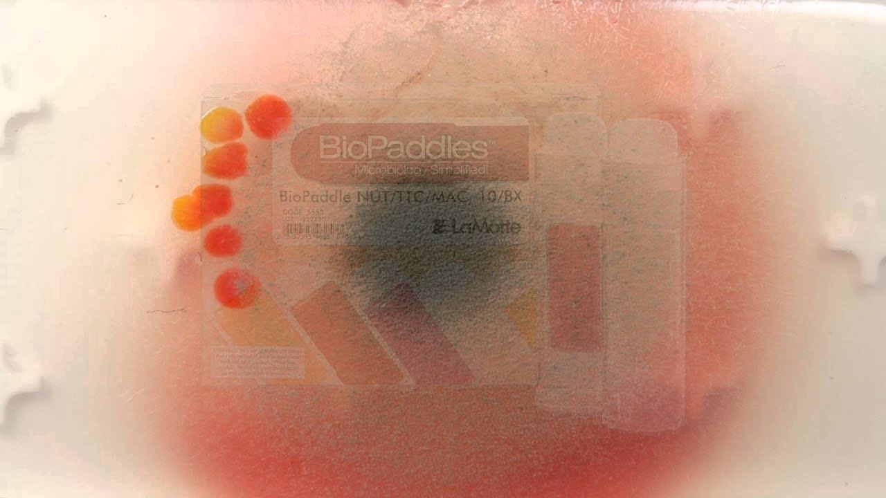LaMotte BioPaddles®