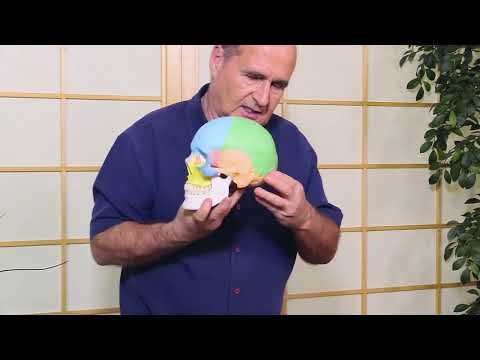 Using Energy Kinesiology to Clear Energy Blockages | Energy Kinesiology